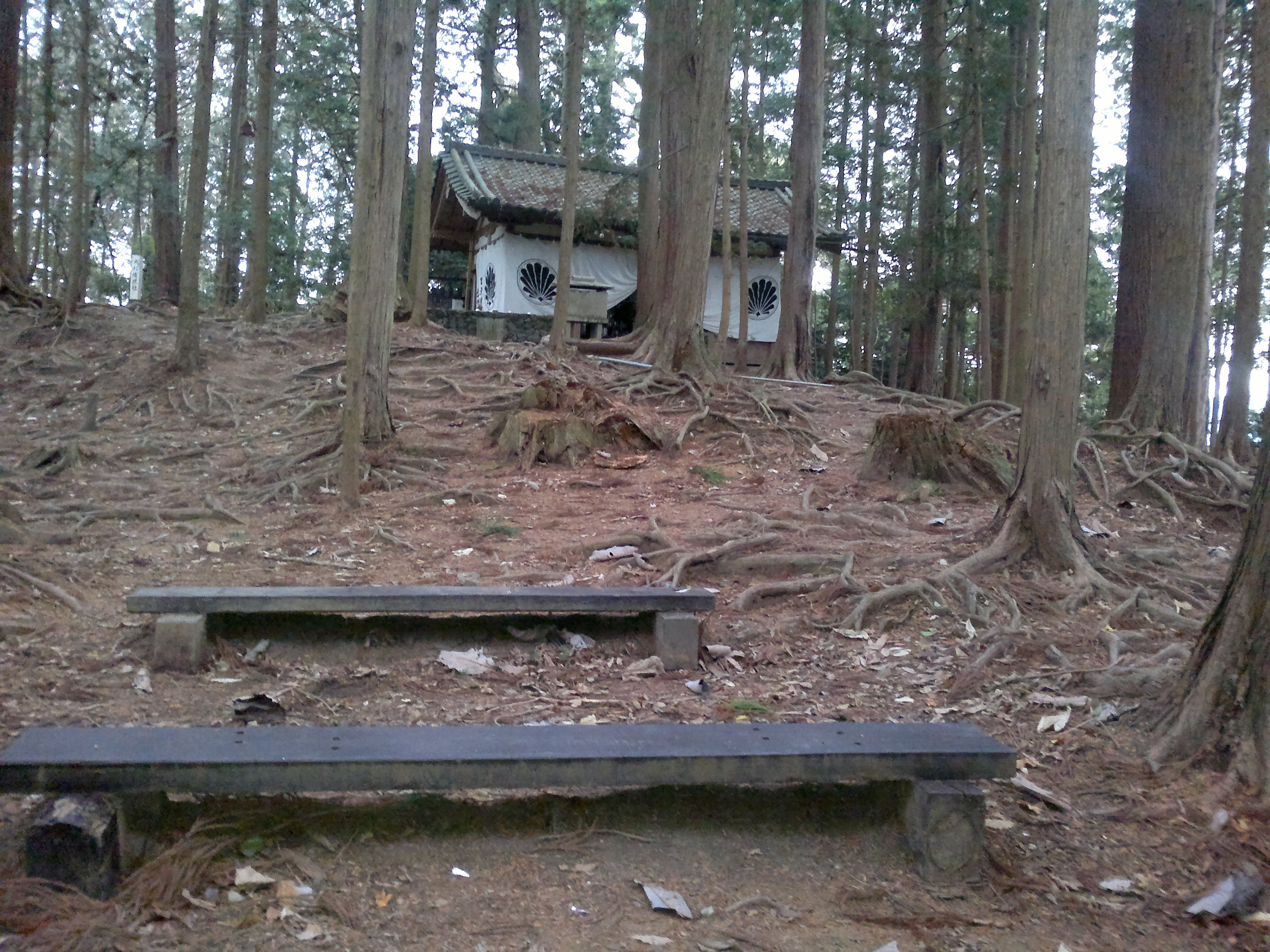 My Visit to Mount Kurama, “Birthplace of Reiki” – Ole's Blog